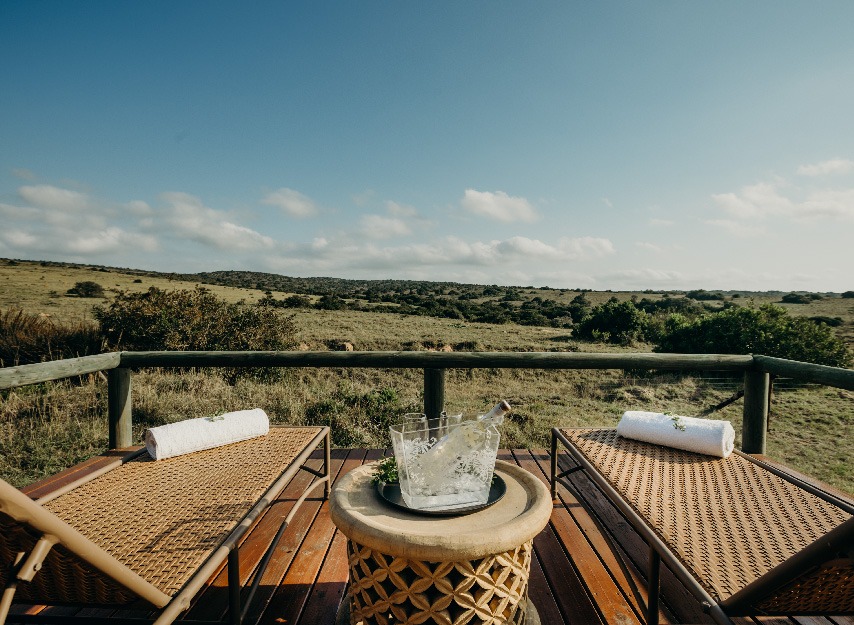 "Experience Wild Luxury At Hlosi Game Lodge In Amakhala" – Amakhala ...