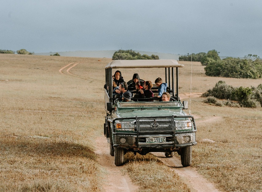 "Experience Wild Luxury At Hlosi Game Lodge In Amakhala" – Amakhala ...
