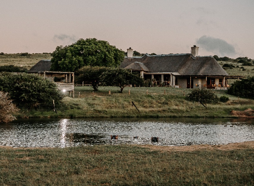 Why Hlosi Game Lodge Is The Best Choice For A Luxury Family Safari ...